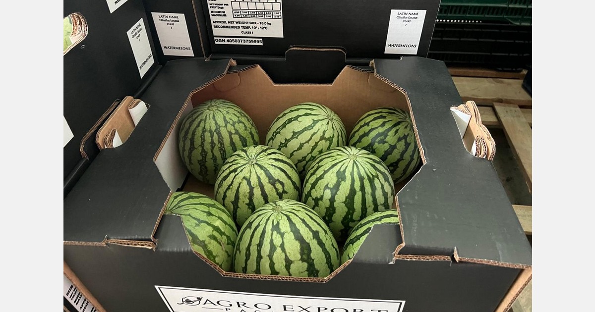 Greater volumes and new markets for Panamanian watermelon exports to Europe