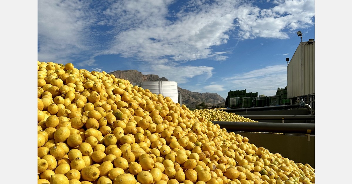 "The market for industrial lemons is still very competitive, especially ...