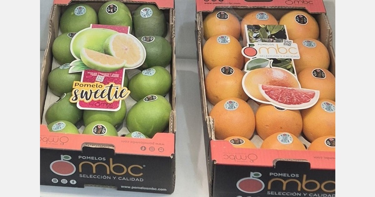 "I can't remember a start to the Spanish grapefruit season as good as ...