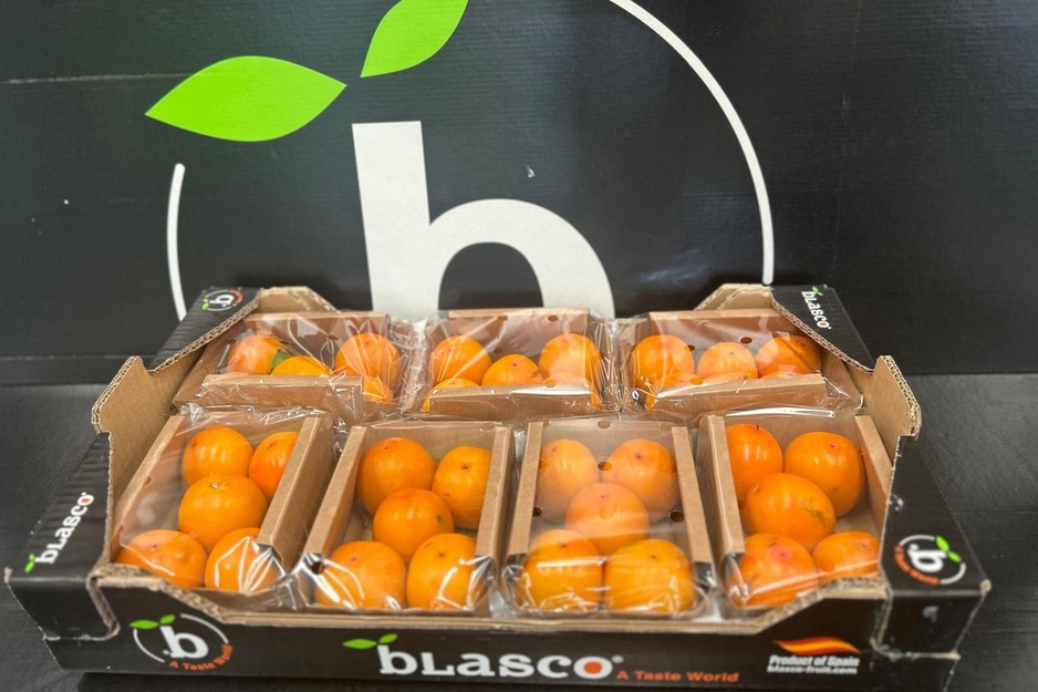 "The tomato kaki is a unique product that differentiates us from most ...