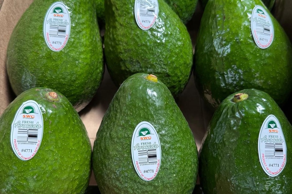"We are expanding into markets where green-skinned avocado is not ...