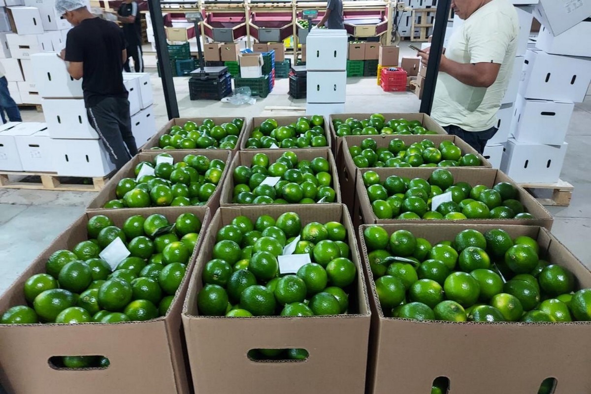 Water crisis in northern Peru has posed significant challenges for lime ...