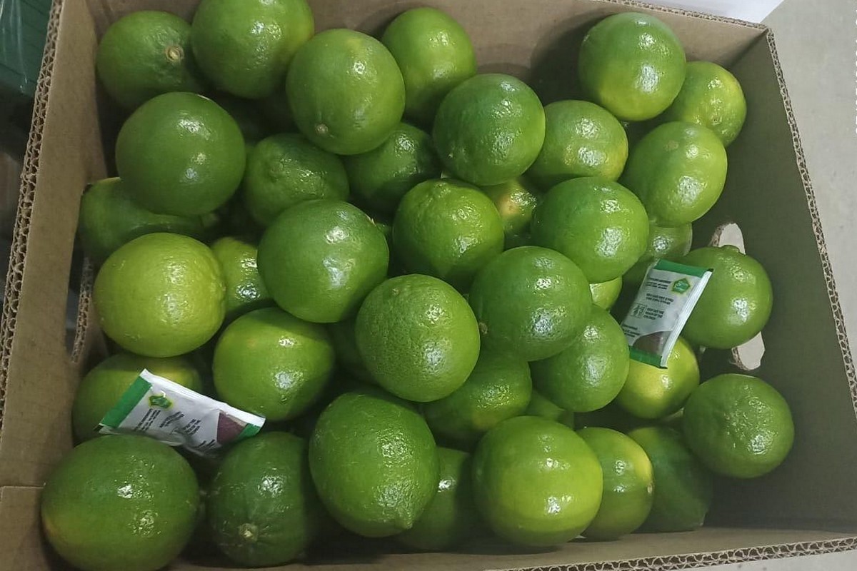 Water crisis in northern Peru has posed significant challenges for lime ...