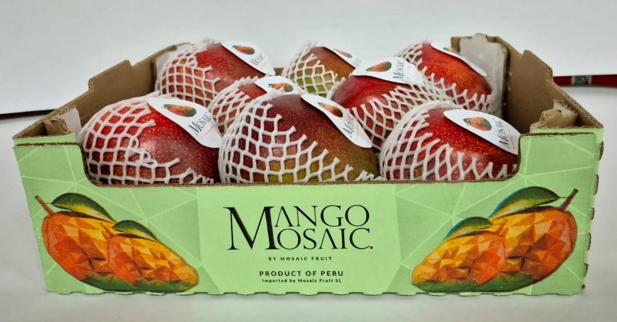 "The first part of the Peruvian mango campaign has been a nightmare and ...