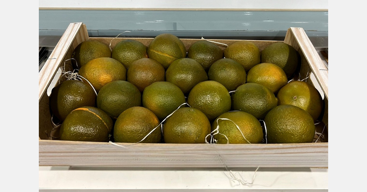 "We have once again achieved good results in Europe with the Chocolate ...