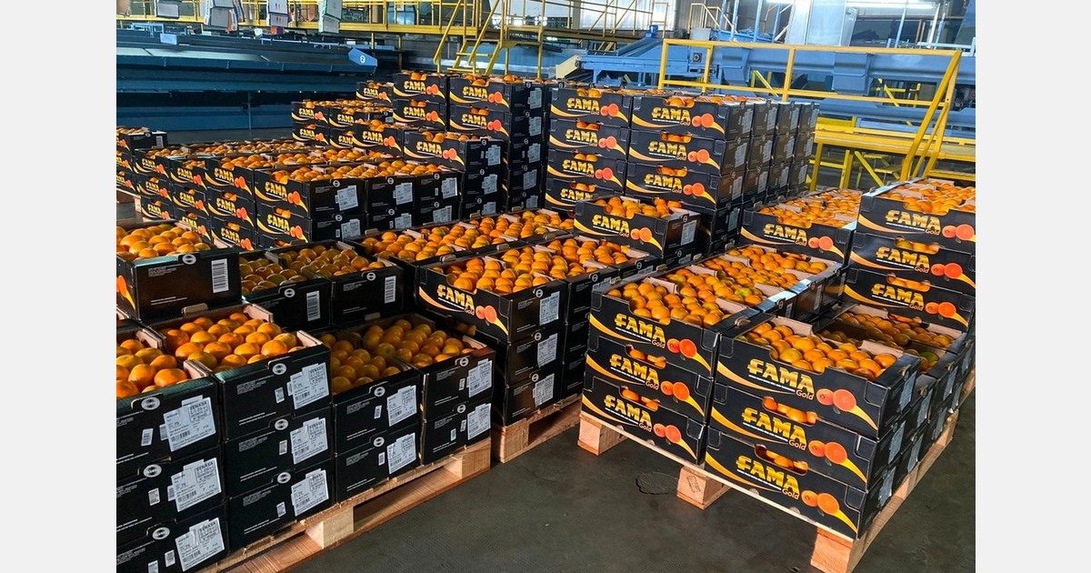 "Argentine citrus production and exports are expected to decrease ...