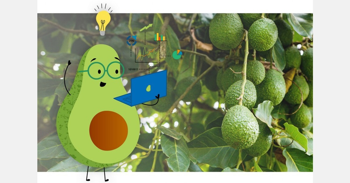 "Avocado Intelligence is a strategic ally to succeed in the avocado ...