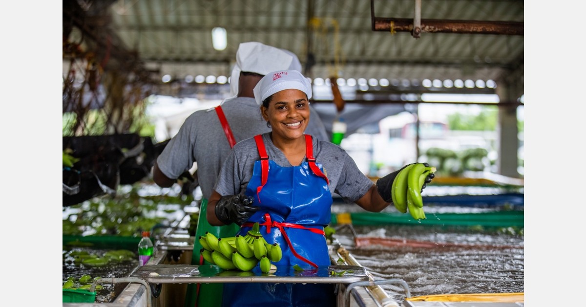 "Bananas can't continue to be the cheapest fruit on the market"