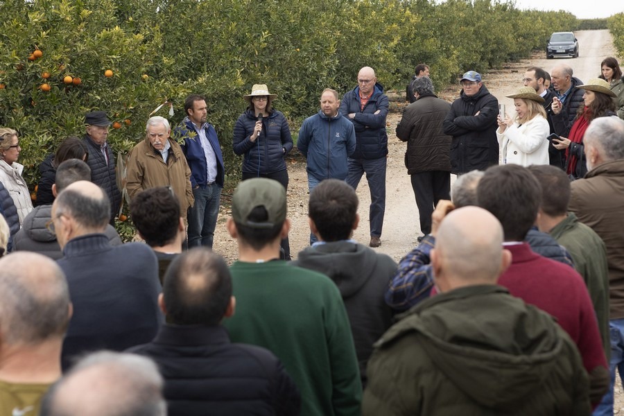 "These conferences are part of a solid strategy to promote the Leanri ...