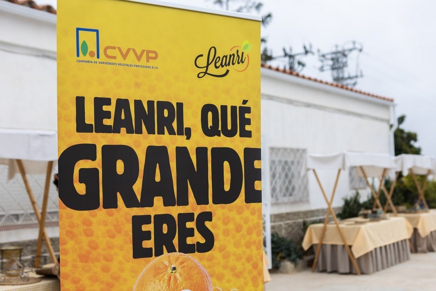 "These conferences are part of a solid strategy to promote the Leanri ...