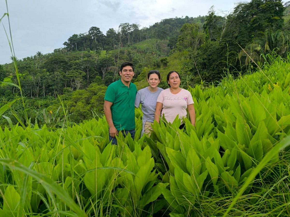 "The quality of Peruvian ginger was not what we expected last year"