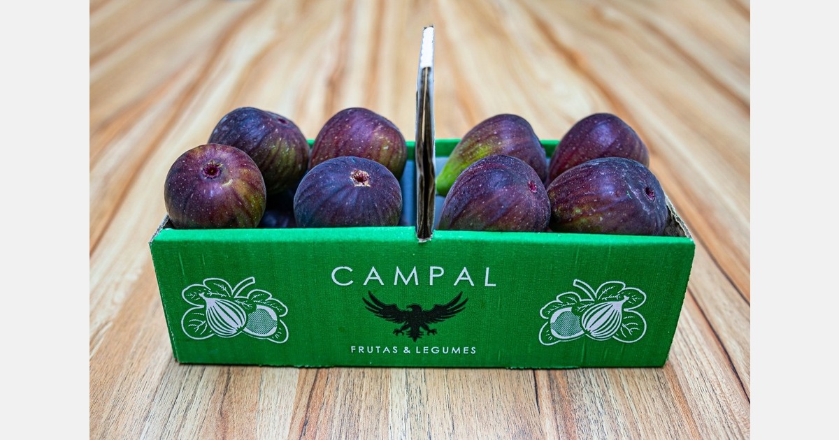 "We account for 40% of Brazilian fig exports"