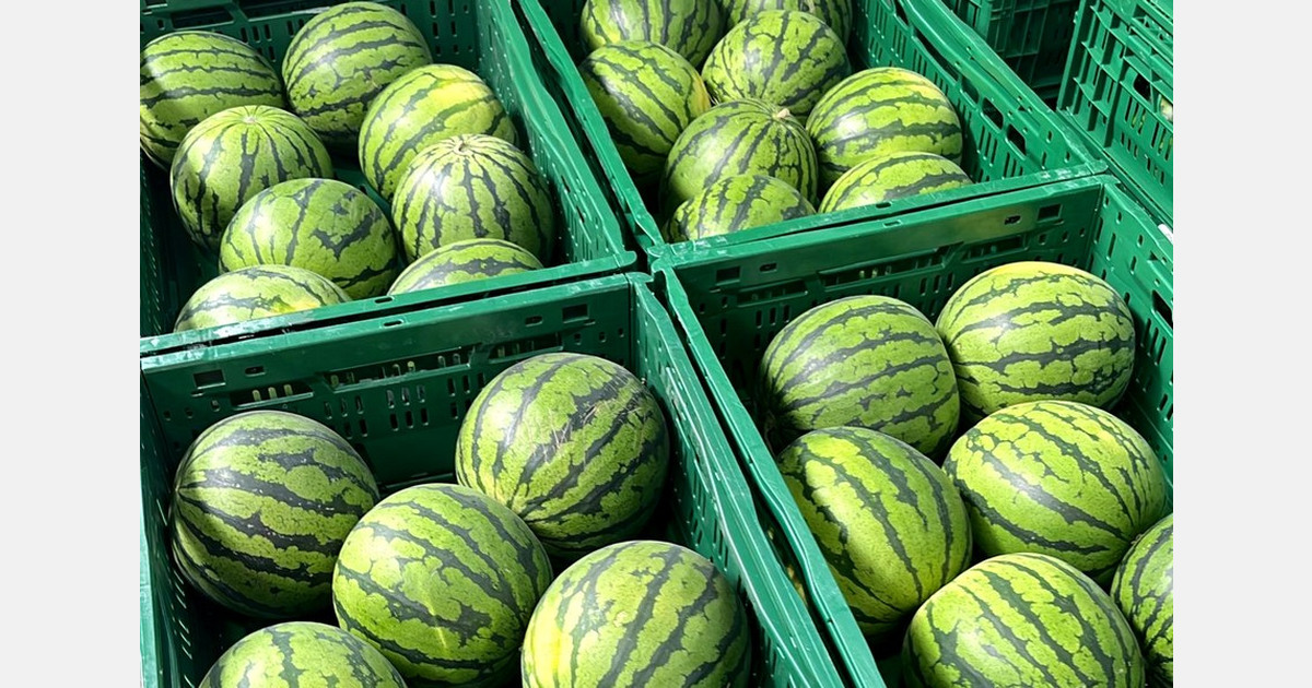 "The start of Almeria's watermelon season has luckily coincided with ...