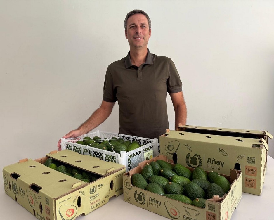 "Even with tariffs, Peruvian avocados remain competitive"