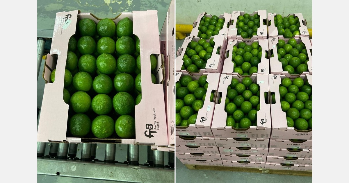Tahiti lime prices increase due to a lower supply