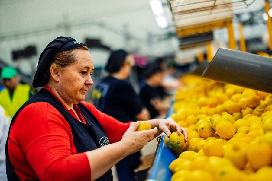 "With early end of the Spanish lemon season, we expect a clean ...