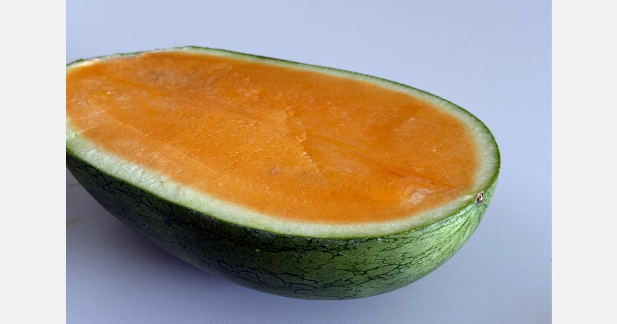 orange watermelon