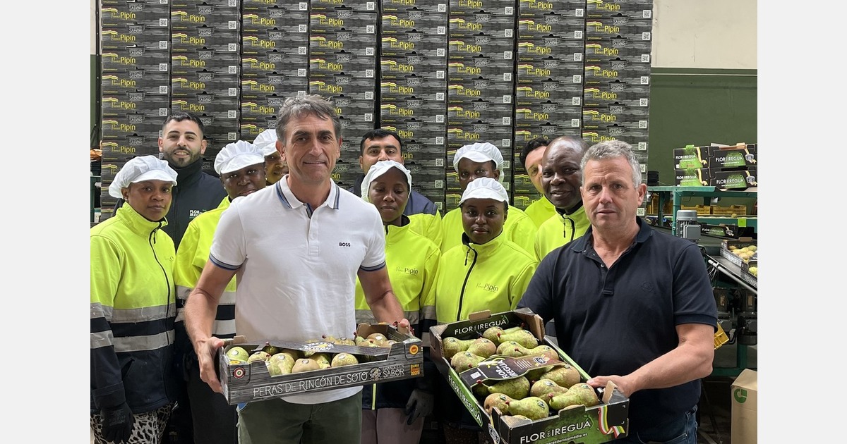 "Fire blight is the main problem affecting pear trees in La Rioja"