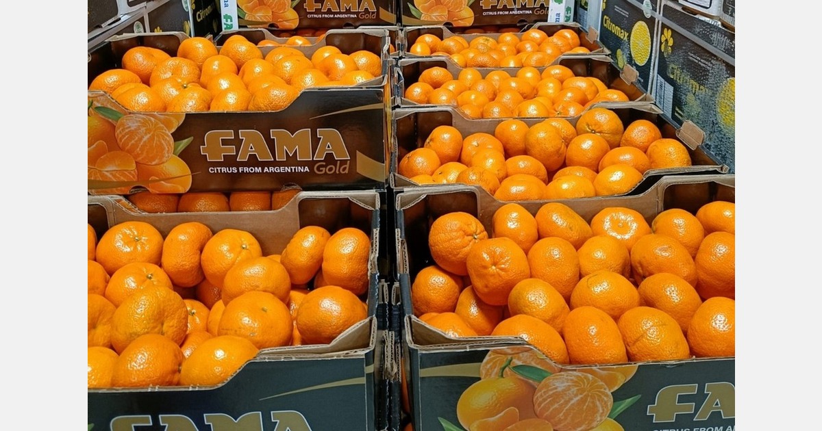 Lower production in Brazil and the USA boosted Argentine orange exports