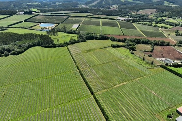 Cool Earth Coin (CEC) will help offset the carbon footprint and be ...