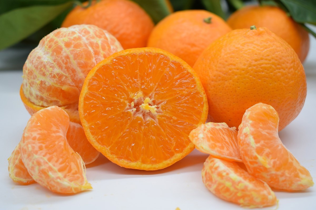 "Uruguay is increasing its production of new mandarin varieties"