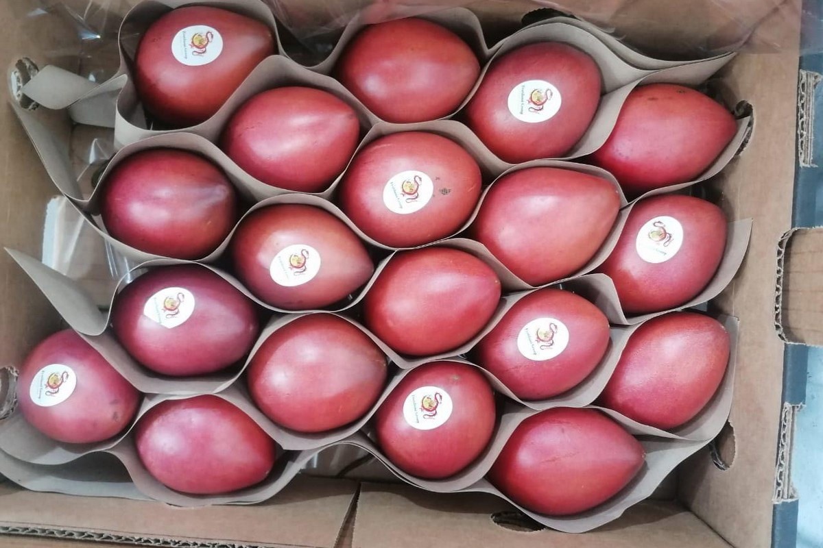 Growing U.S. interest in Andean fruits like tree tomatoes