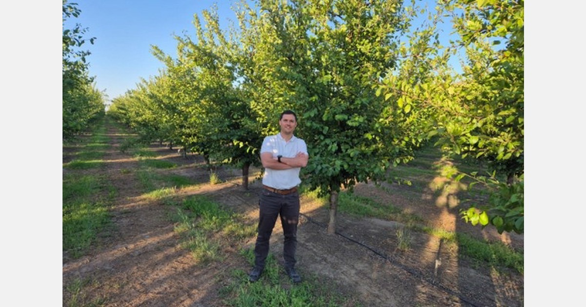 Chile's dried plum production is projected to grow by 20% from 2025 to 2030