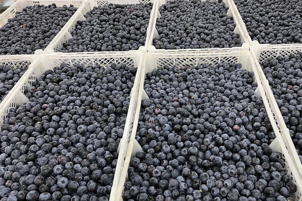 "It's not about boosting quantity; it's about providing high-quality ...