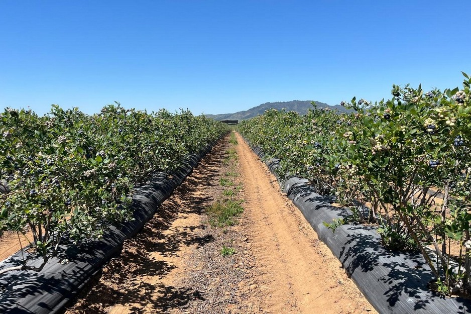 "It's not about boosting quantity; it's about providing high-quality ...