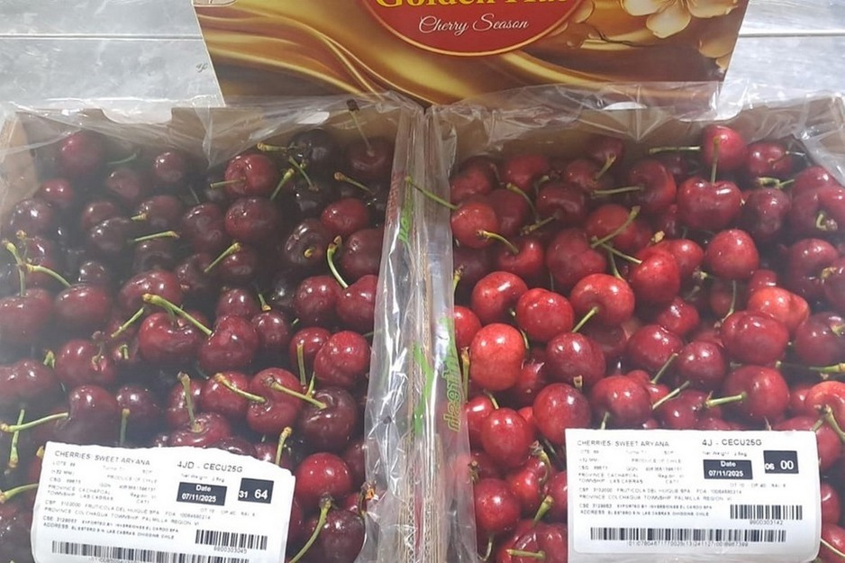 "The situation is very complex, mainly because Chile ships over 90% of ...