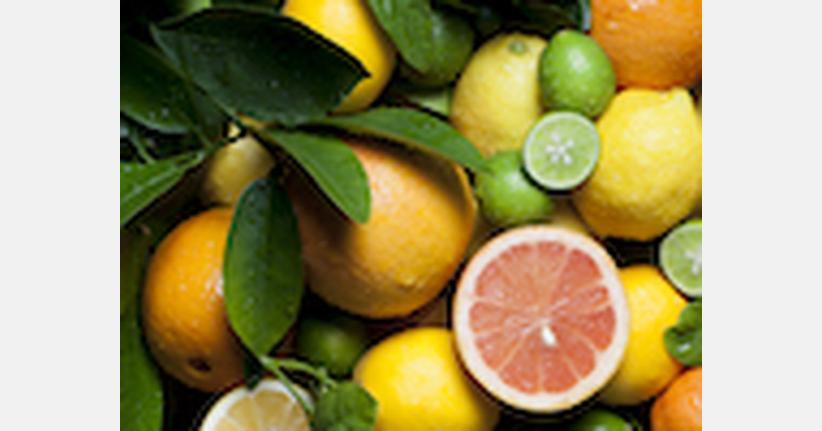 Tunisia: 11,500 tons of citrus fruits exported