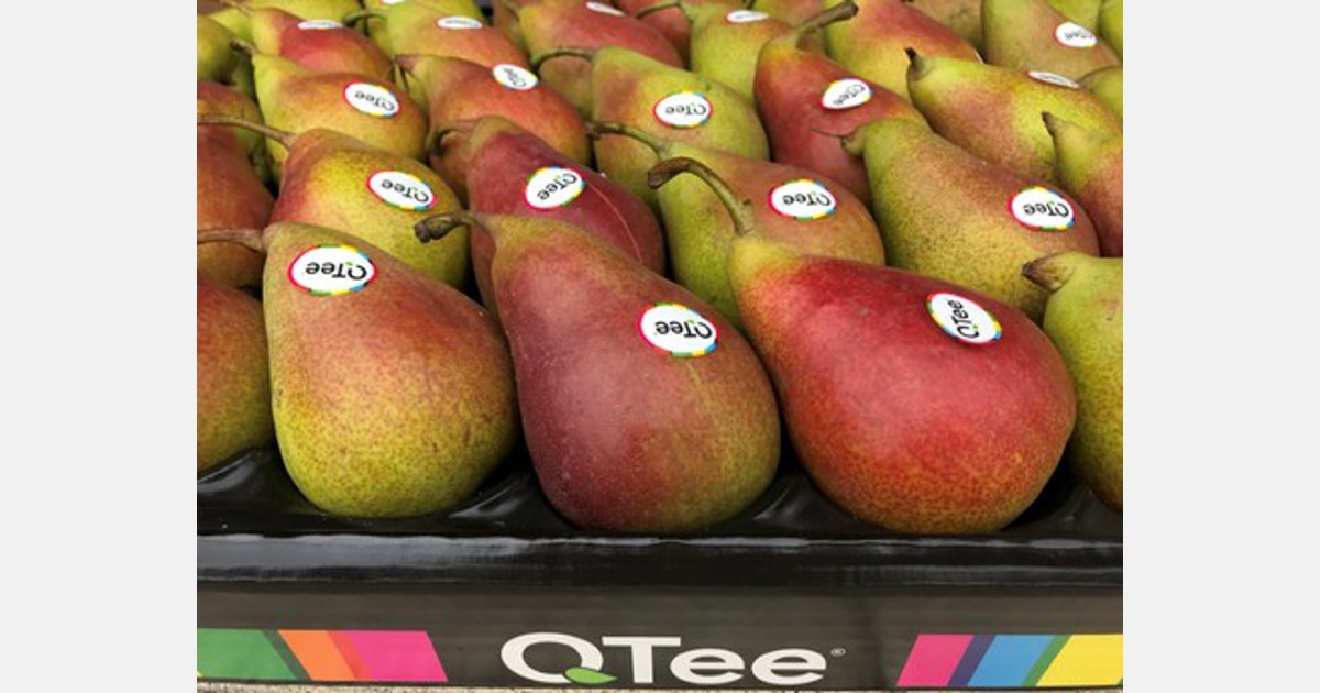 France: Superalp is proud of the new Qtee pears