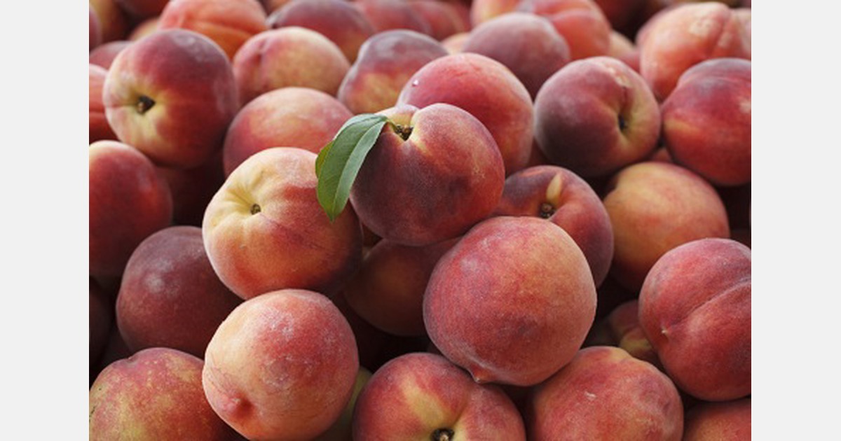 French peaches: Price increase due to decline in production