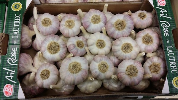 “We harvested our garlic at the right time!”