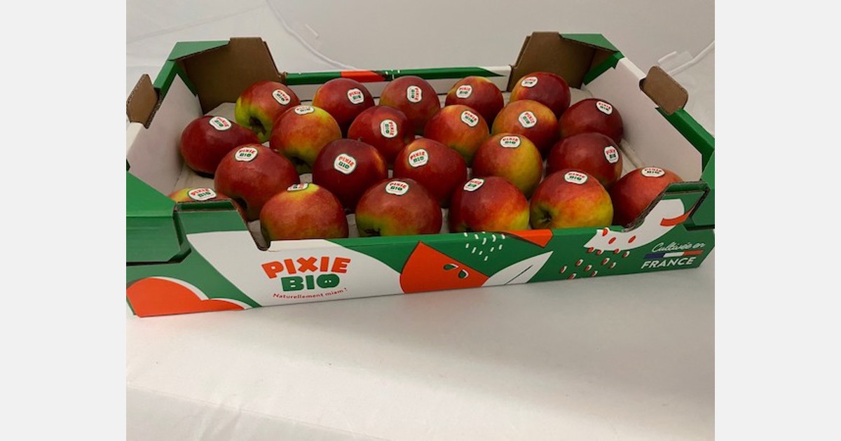 The Pixie Bio apples are now available