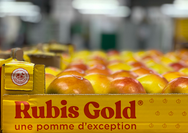 “The Rubis Gold brings a real differentiation within the range of under ...