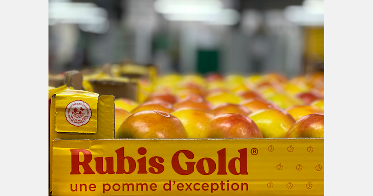 “The Rubis Gold brings a real differentiation within the range of under ...