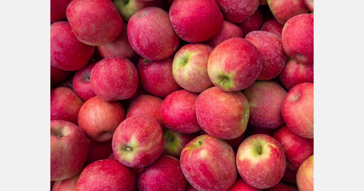 The French Pink Lady concludes its 2021-2022 season