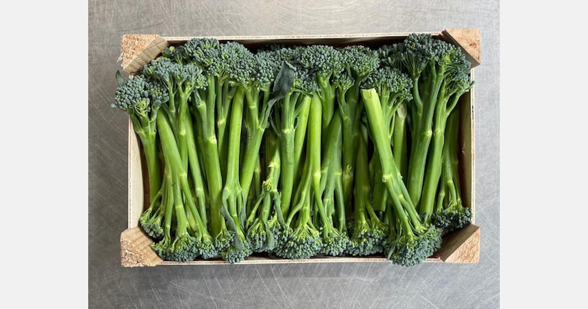 New Bimi Broccoli vegetable now available in supermarkets in France