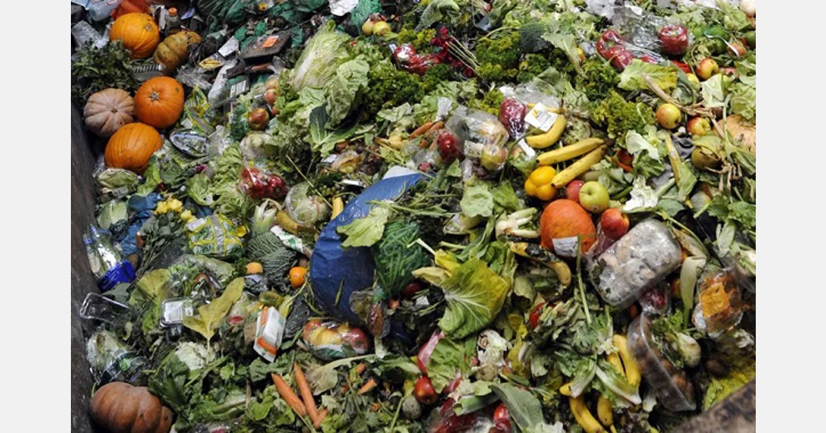 France: “anti-food waste” label in French distribution