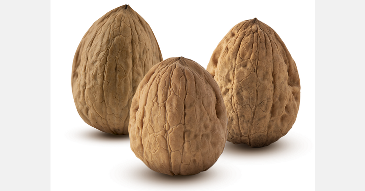 Grenoble walnut PDO presented at Macfrut for the first time