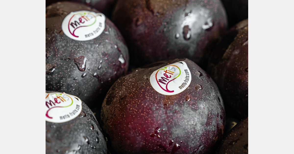 Good French harvest in store for Metis plums