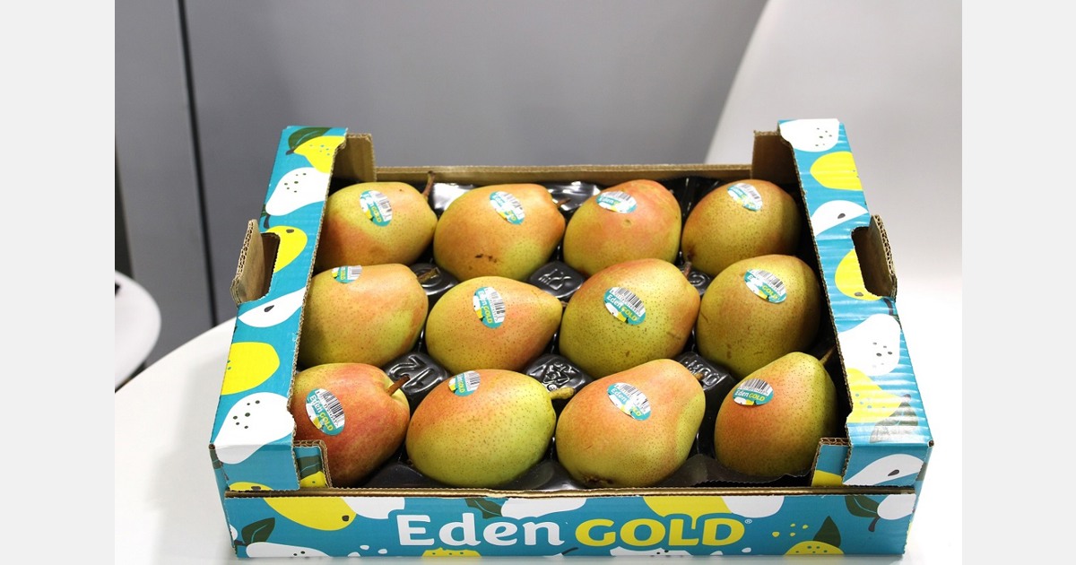 Portugal starts producing Eden Gold pear