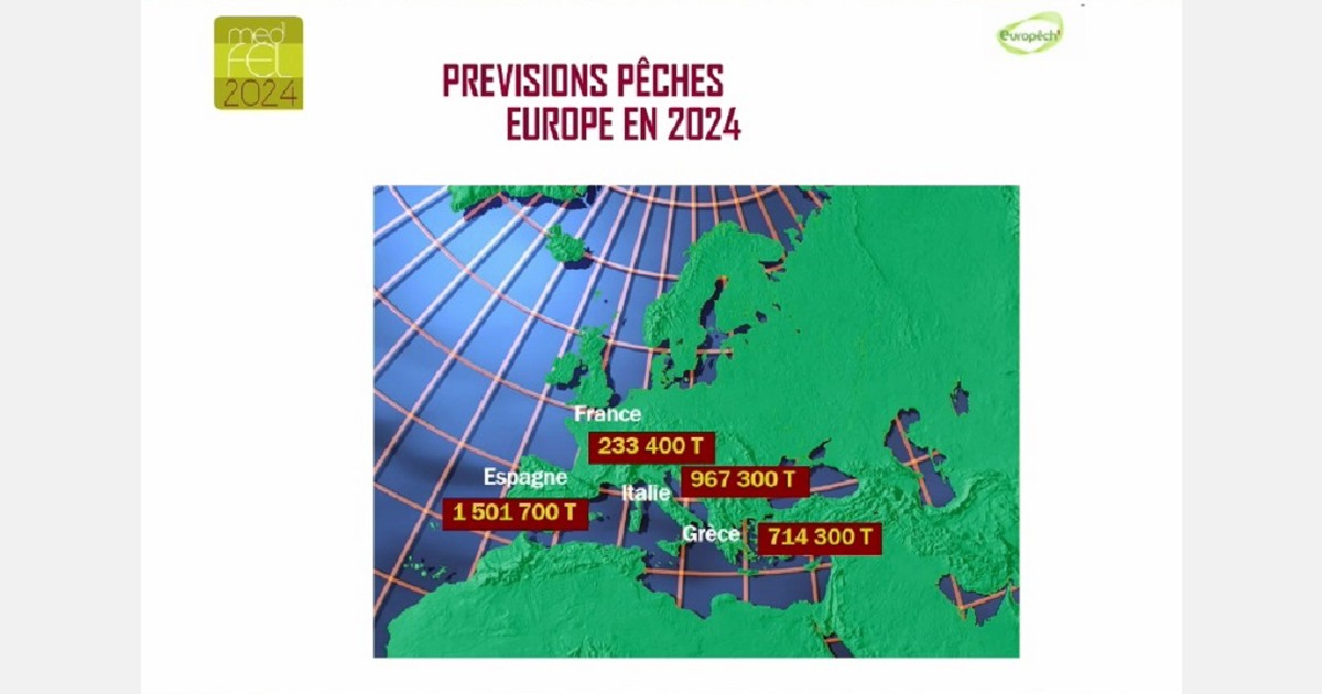 European nectarine harvest