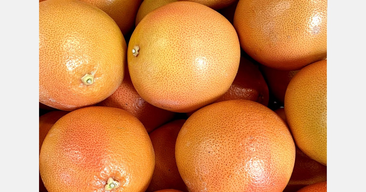 “Reduced competition” for South African Star Ruby pomelo