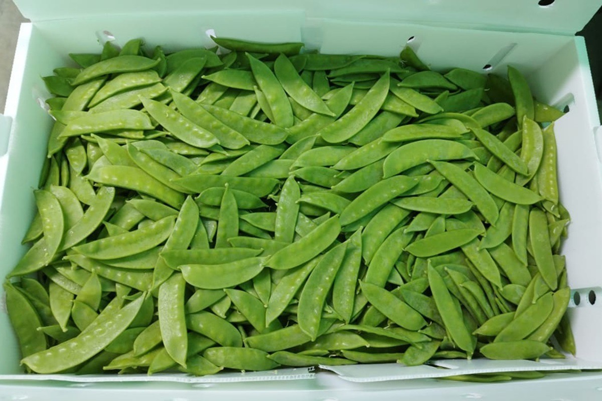 "We are the 2nd largest importer of snow peas from Peru in continental ...