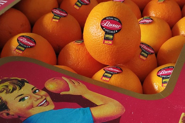 "We could easily sell twice as many oranges"