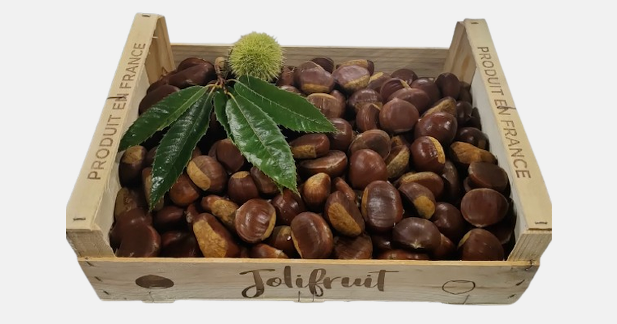 "We want to revitalize the chestnut and nut sector from southwestern ...