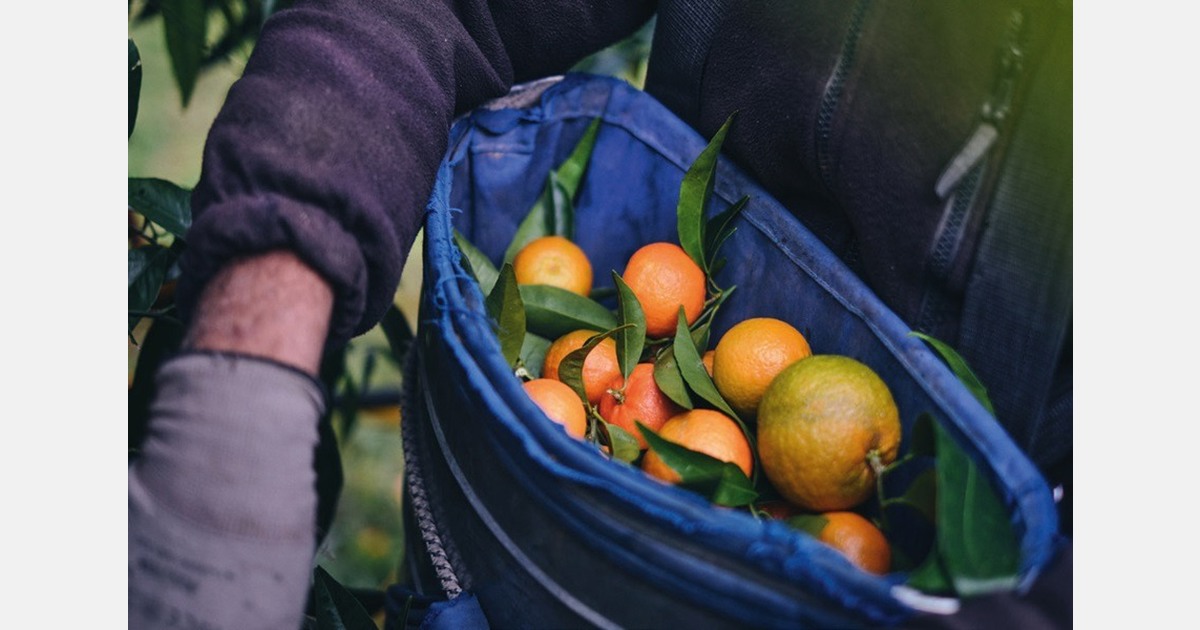 "Water scarcity could become our biggest problem"