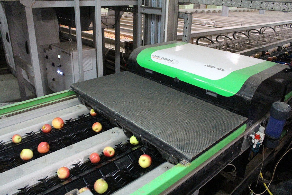 MAF RODA Agrobotic pre-calibration system for sale